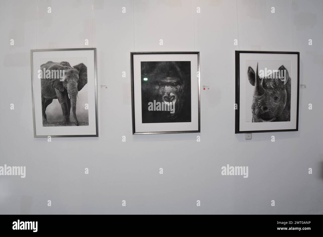 Bilder von Dan Pyle-Zeichenkuenstler Muenchen 14.03.2023 Galerie ...