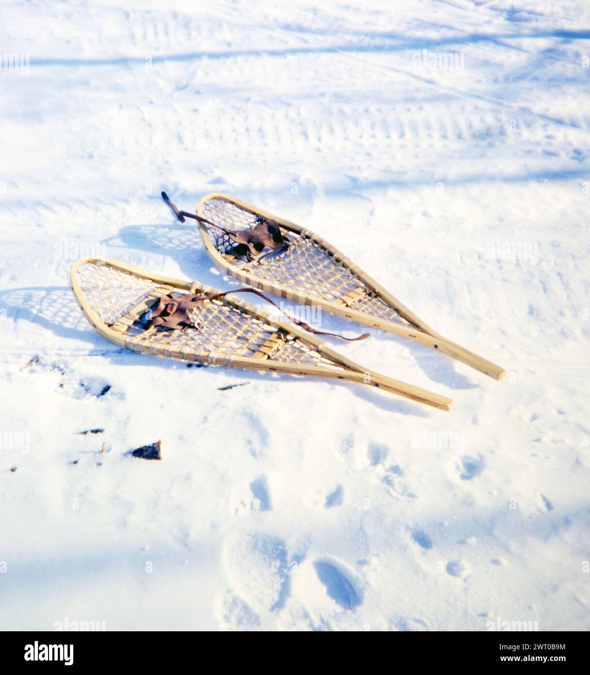 Webequie First Nation Ojibway community, Eastwood Island, northern ...