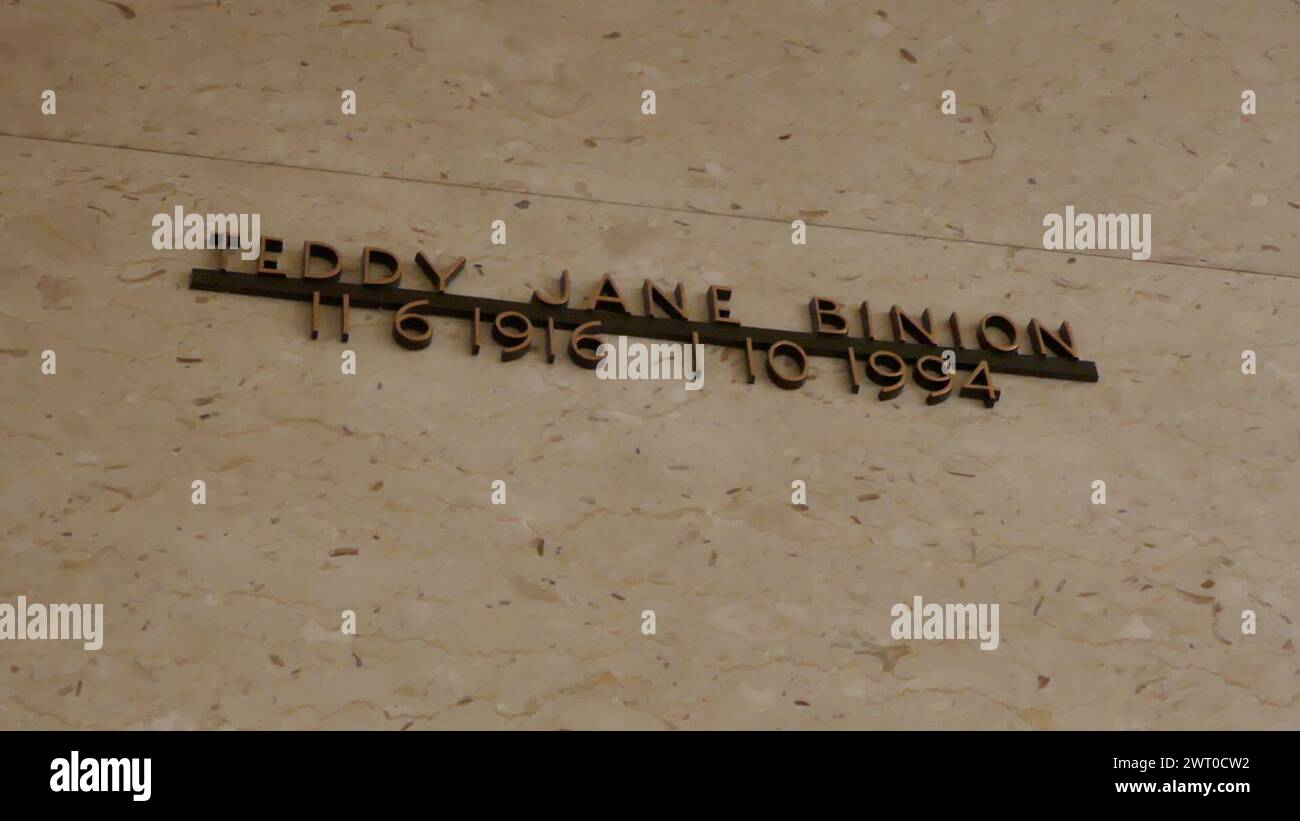 Teddy habe binion hi-res stock photography and images - Alamy