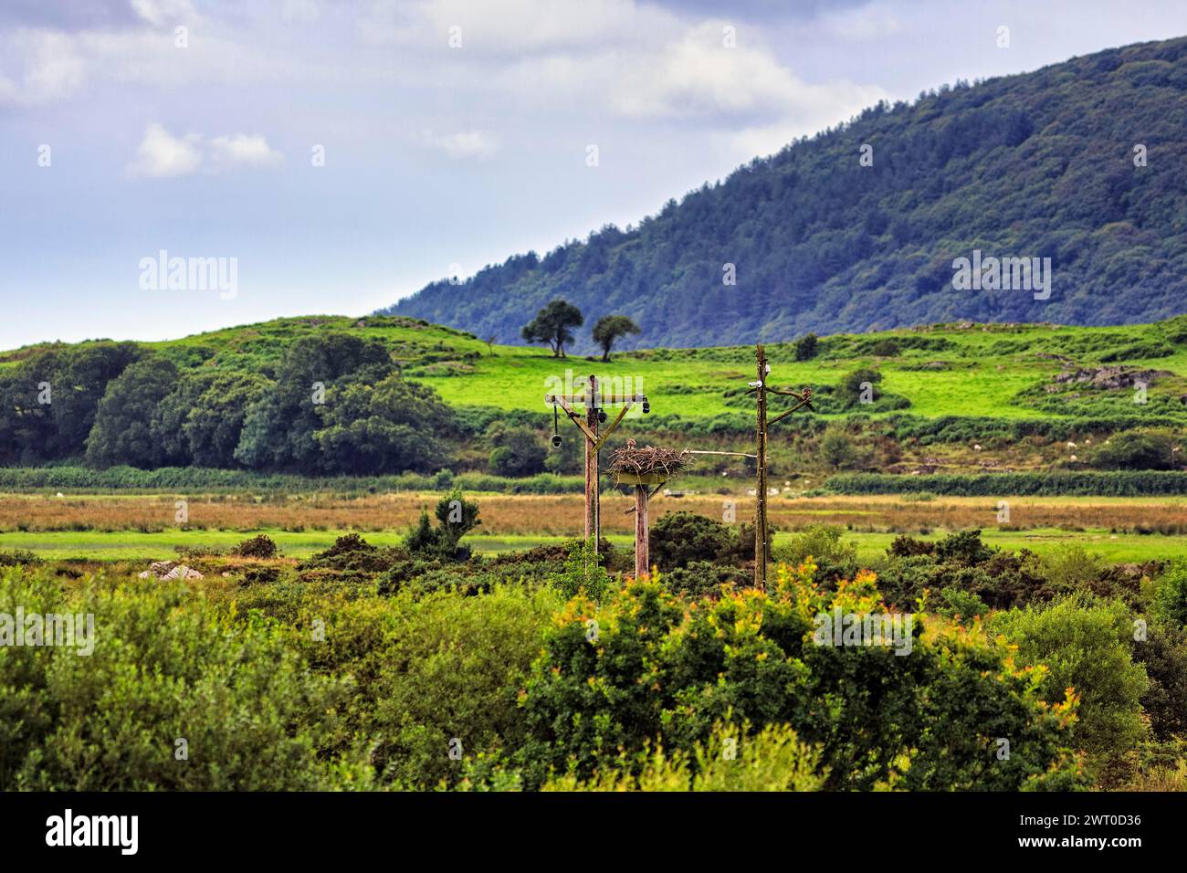 Unesco dyfi biosphere reserve hi-res stock photography and images - Alamy
