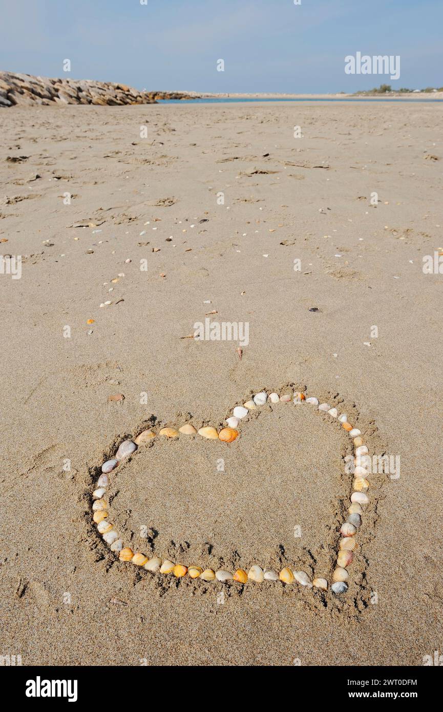 Heart made shells on beach hi-res stock photography and images - Alamy