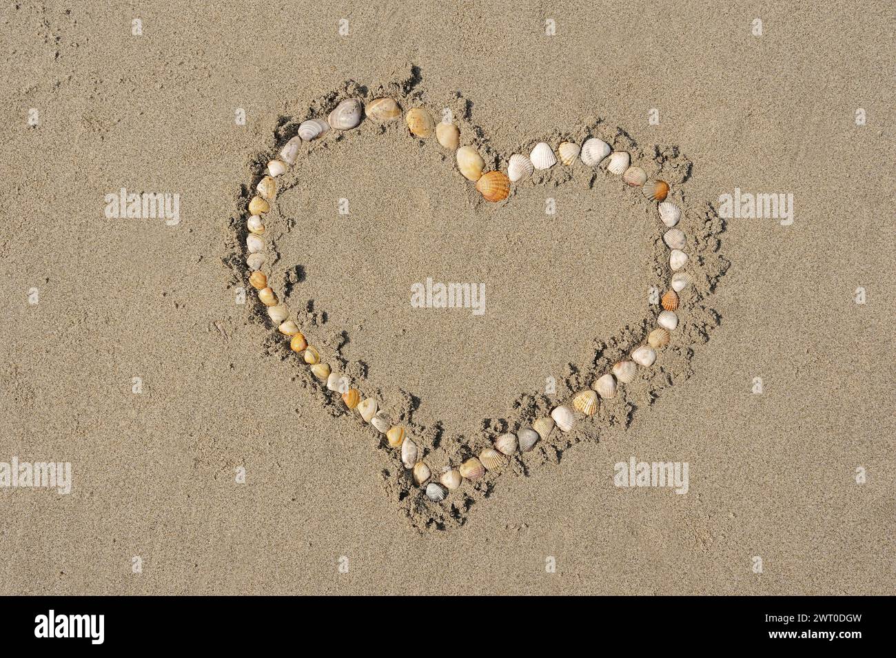 Heart made shells on beach hi-res stock photography and images - Alamy