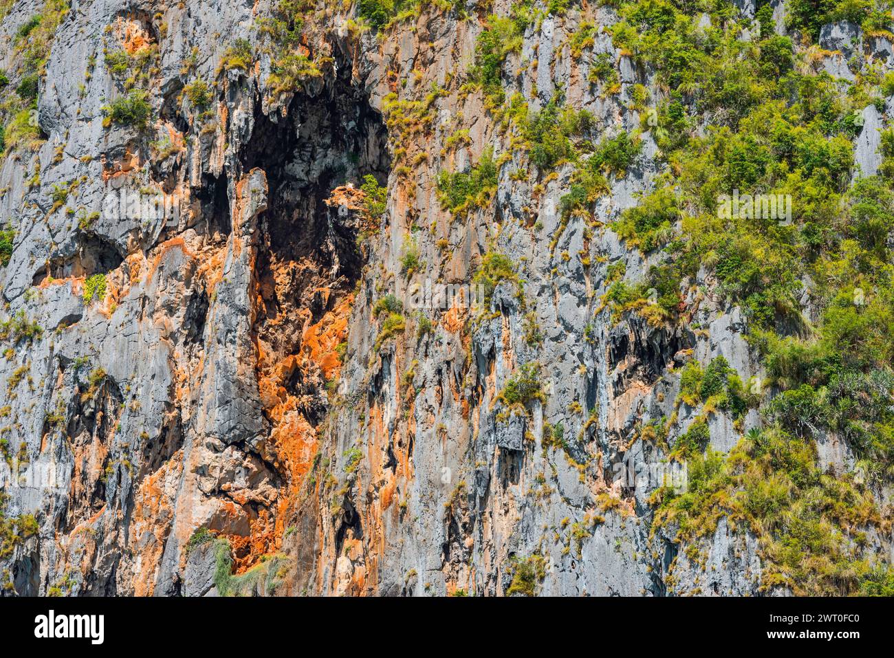 Chalk cliffs near Krabi, weather, sky, climbing rocks, climbing ...