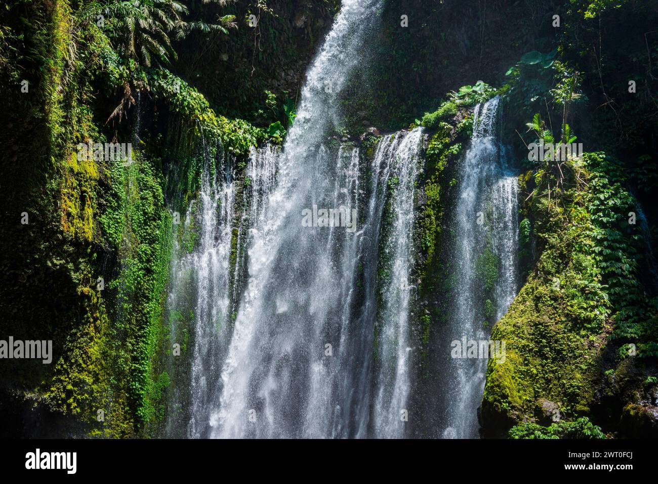 Sendang Gile waterfall, nature, landscape, flowing, river, fresh, clear ...