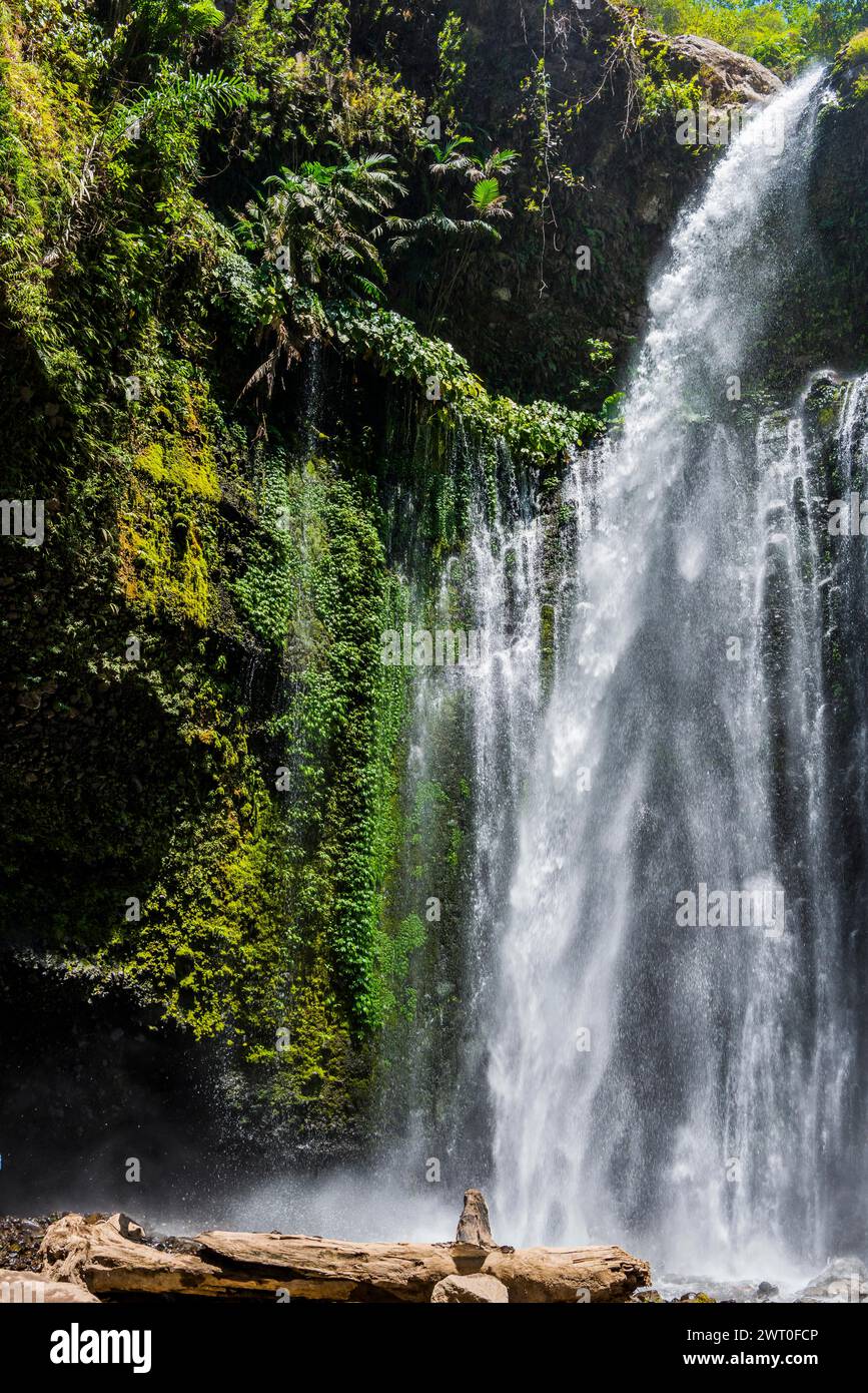 Sendang Gile waterfall, nature, landscape, flowing, river, fresh, clear ...