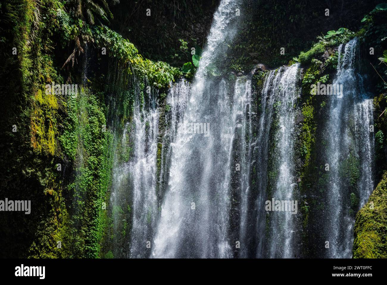 Lombok jungle hi-res stock photography and images - Alamy