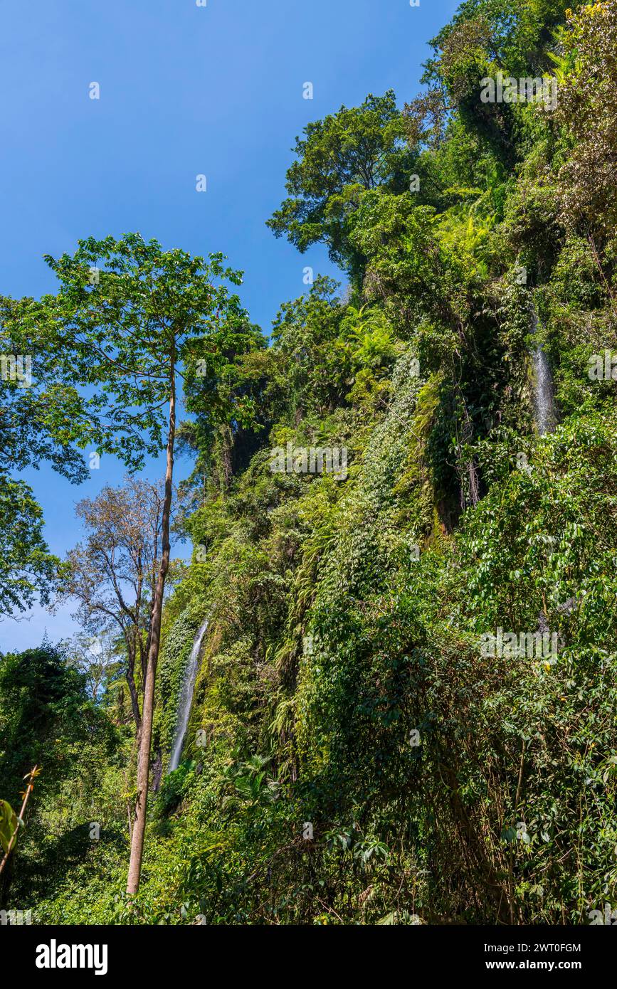 Southeast asia deforestation hi-res stock photography and images - Alamy