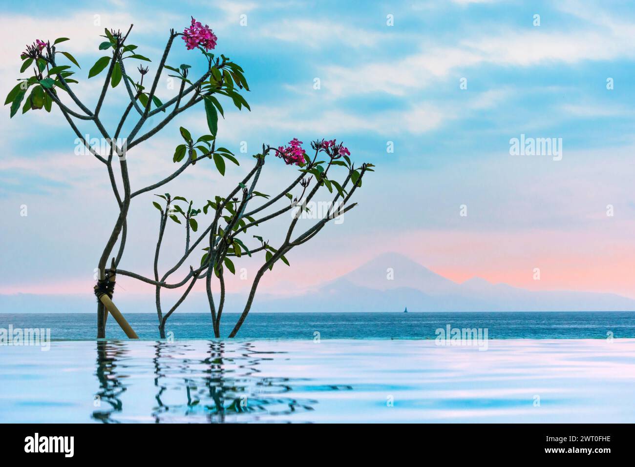 Flora of bali hi-res stock photography and images - Alamy