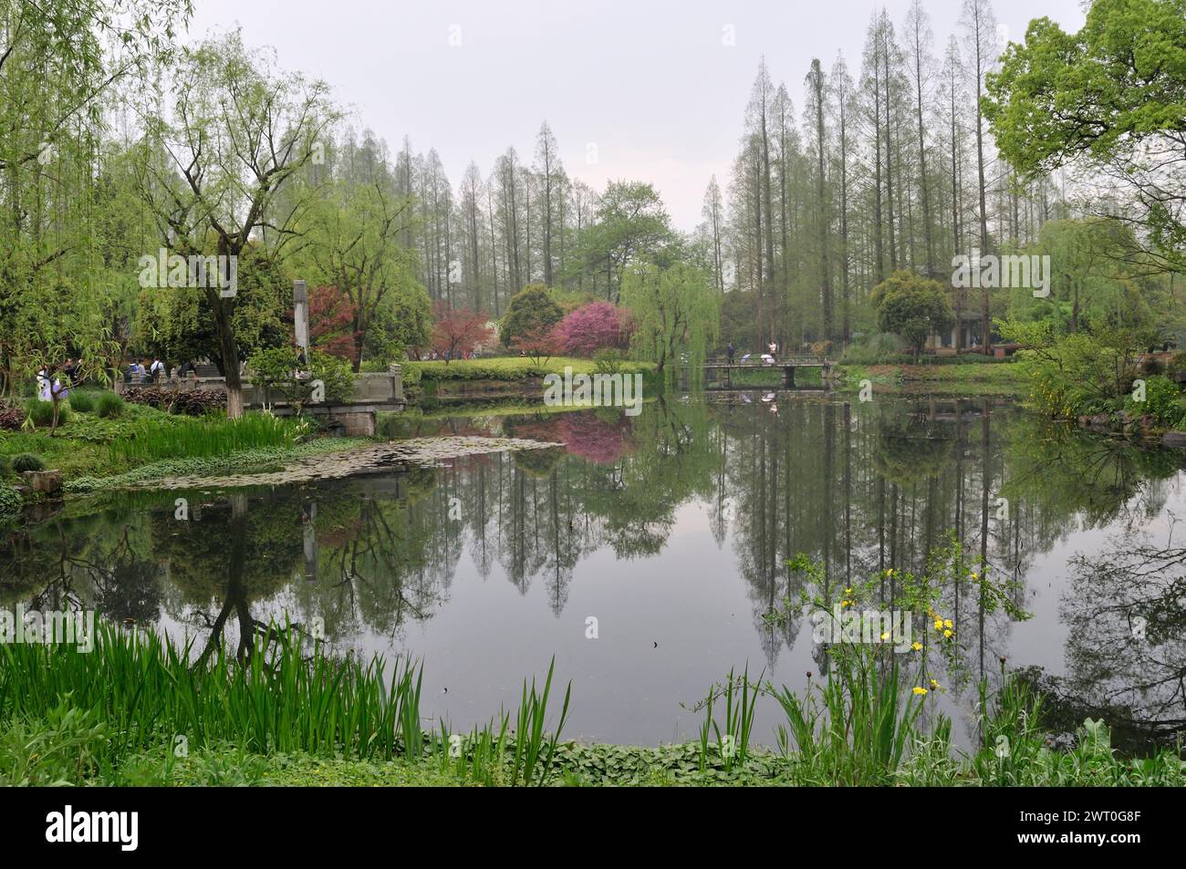 Xi Hu, Hanzhou west lake, Zhejiang, China Stock Photo - Alamy