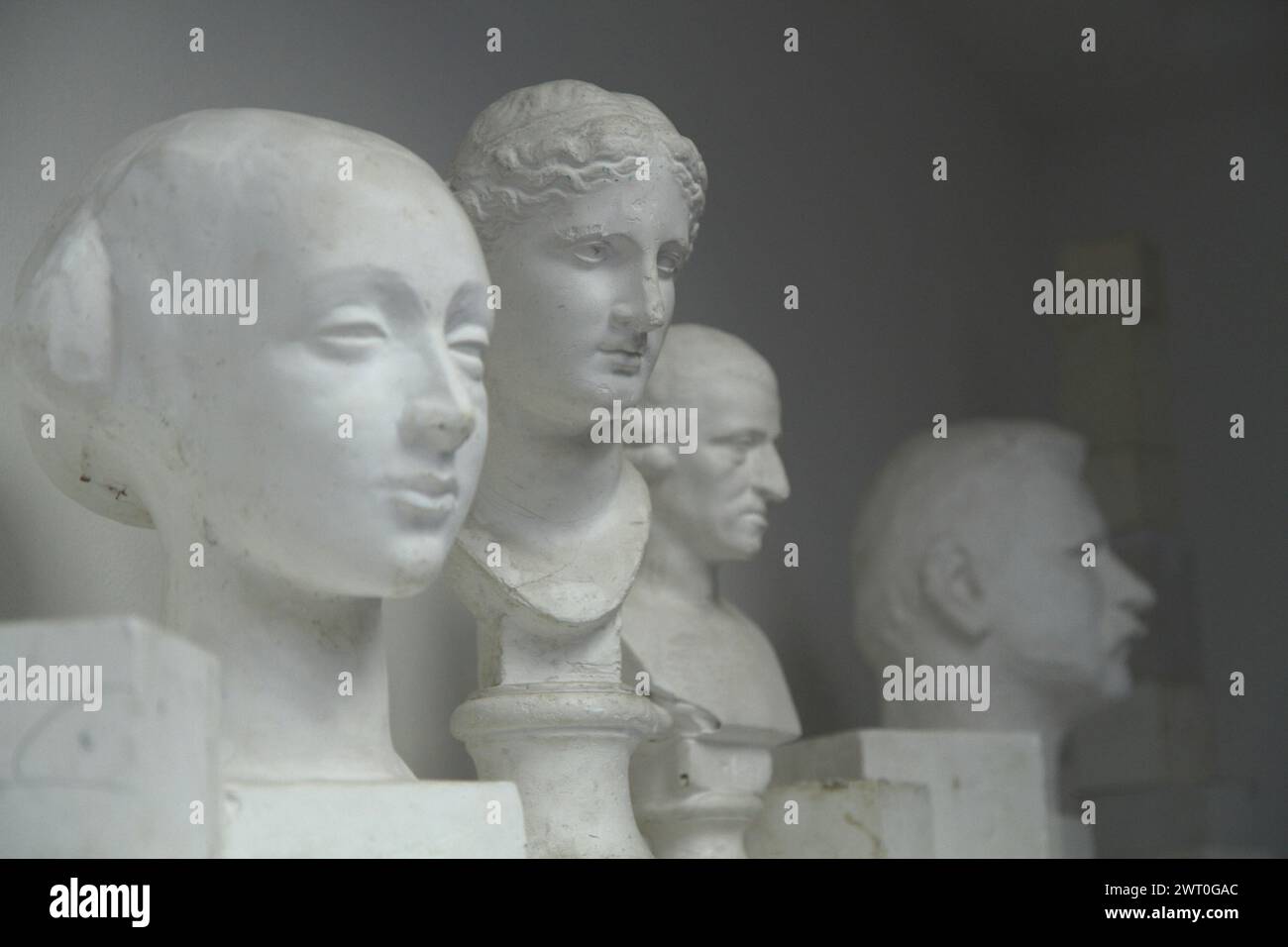 cast heads as nice artist background (for art education Stock Photo - Alamy