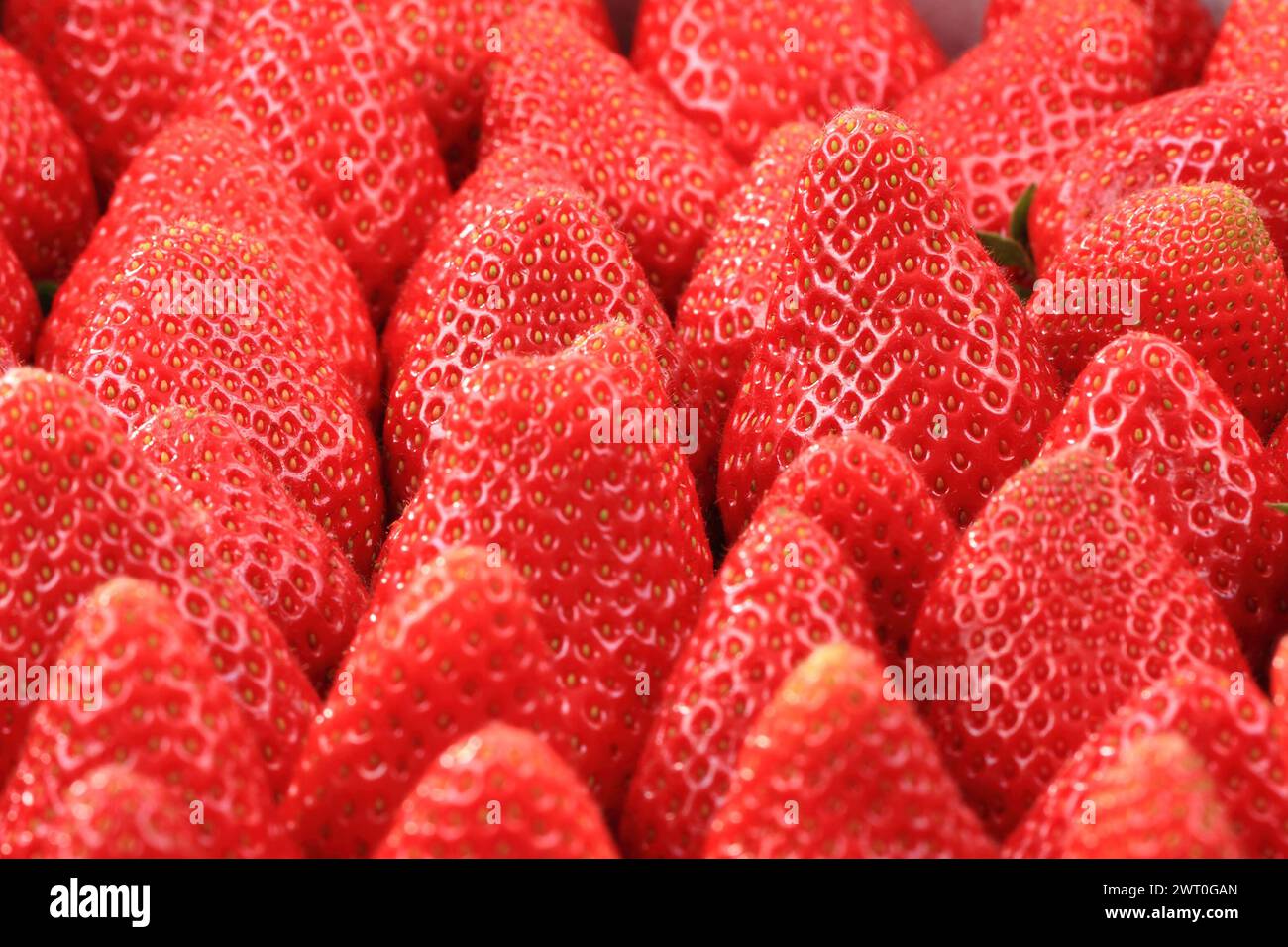 red strawberries texture as nice natural food background Stock Photo ...