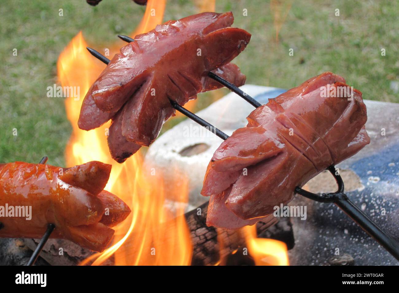 bratwurst preparing on the fire as gourmet background Stock Photo - Alamy