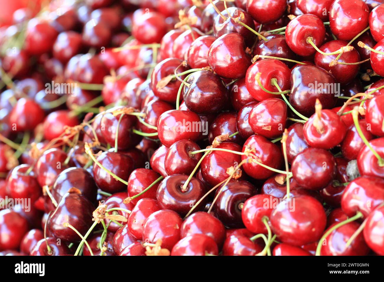 red cherries texture as nice natural food background Stock Photo - Alamy