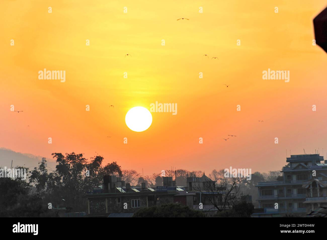 Sunrise with flocks of birds over city roofs in warmly coloured light ...