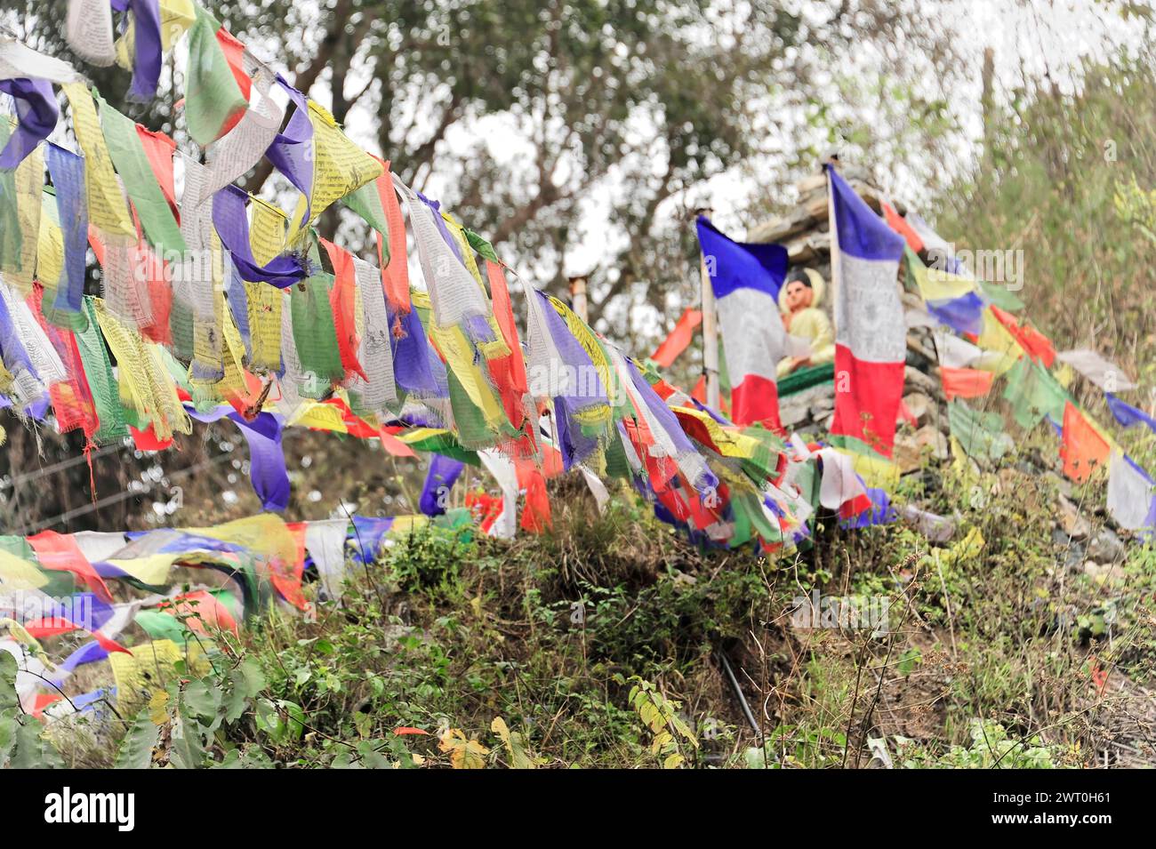 Nepal waving flag hi-res stock photography and images - Alamy