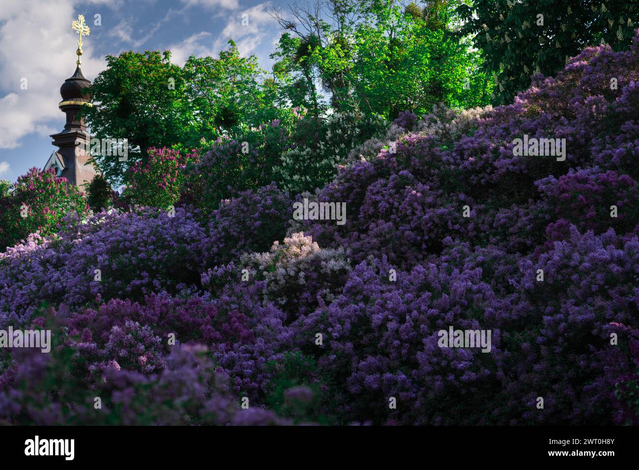 Kiev botanical garden hi-res stock photography and images - Alamy