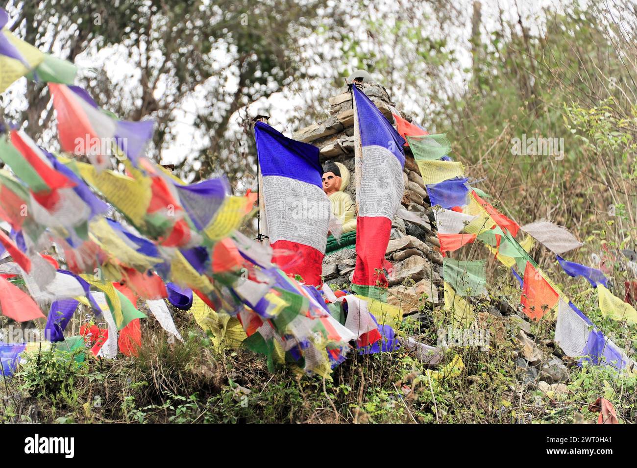 A child stands behind colourful prayer flags in a forested area ...