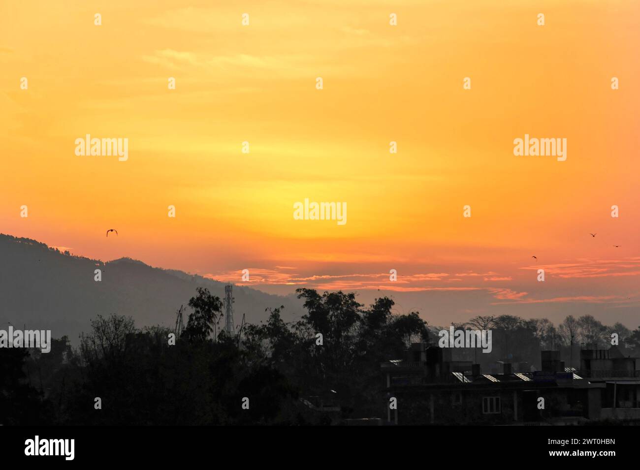Dramatic sunrise with orange sky, silhouettes of birds and mountains ...