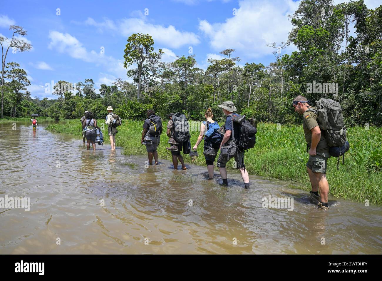 Tourists on the way to the Dzanga Bai forest clearing, Dzanga-Ndoki ...