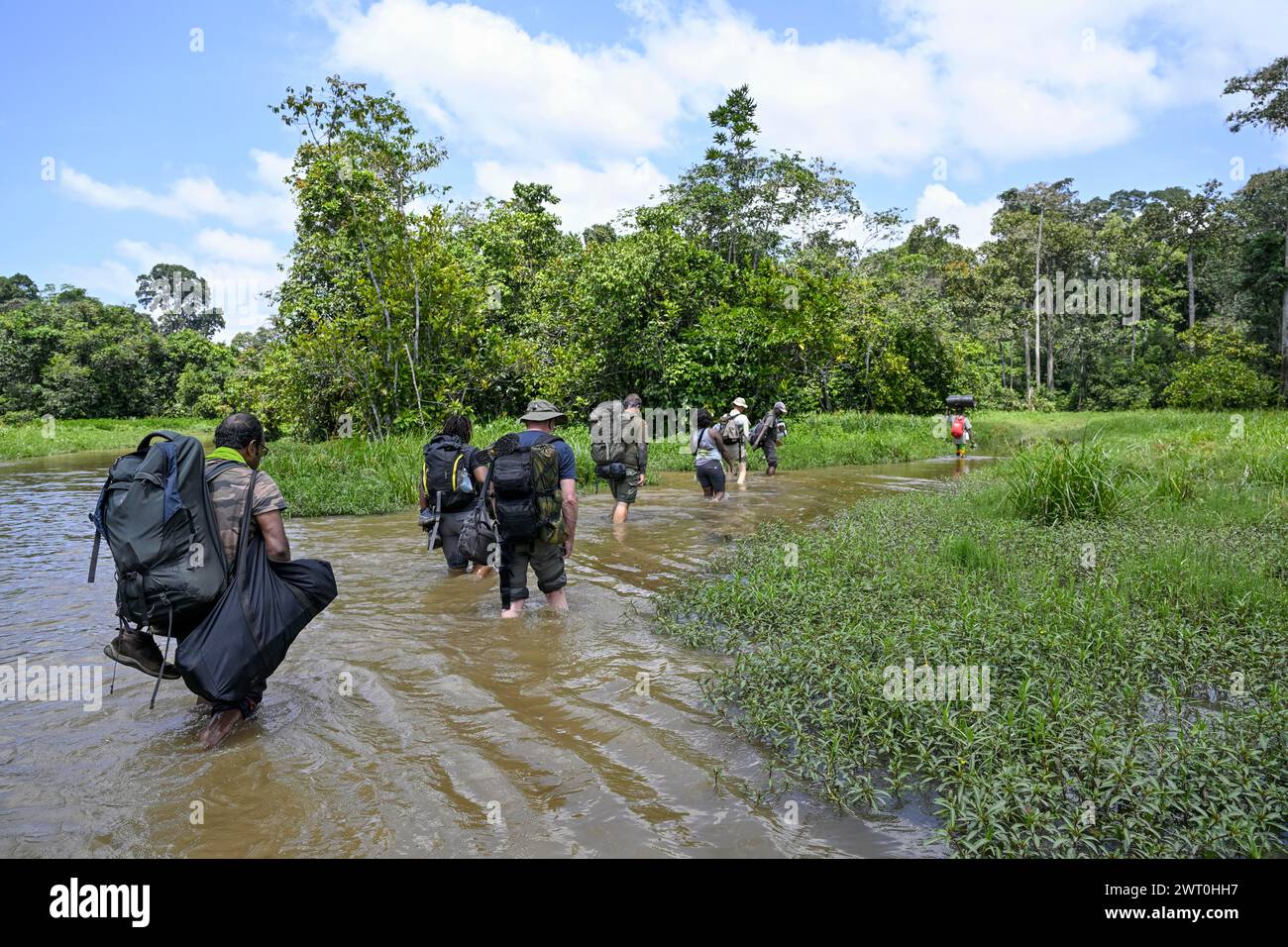 Tourists on the way to the Dzanga Bai forest clearing, Dzanga-Ndoki National Park, Unesco World ...