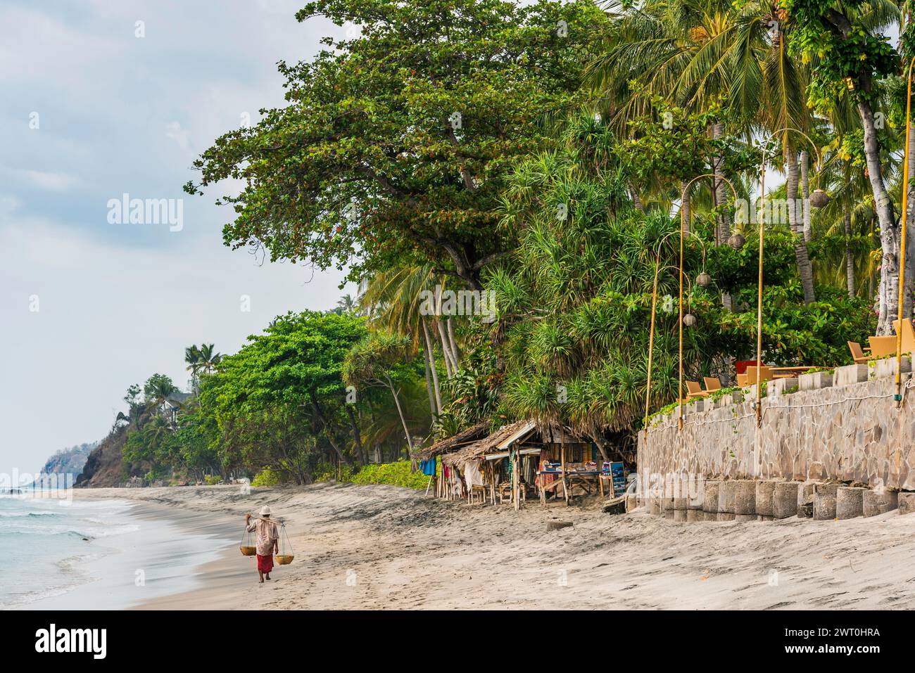 Trader at Mangsit beach in Sengiggi, seller, man, palm beach, travel ...