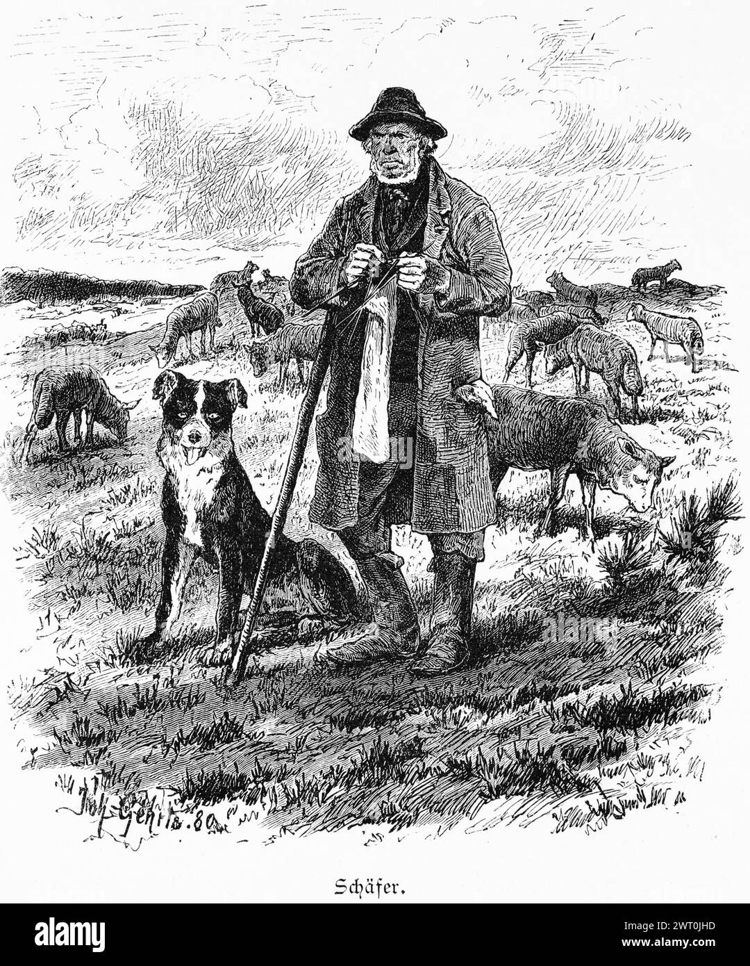 Shepherd, Mecklenburg-Western Pomerania, Germany, flock of sheep ...