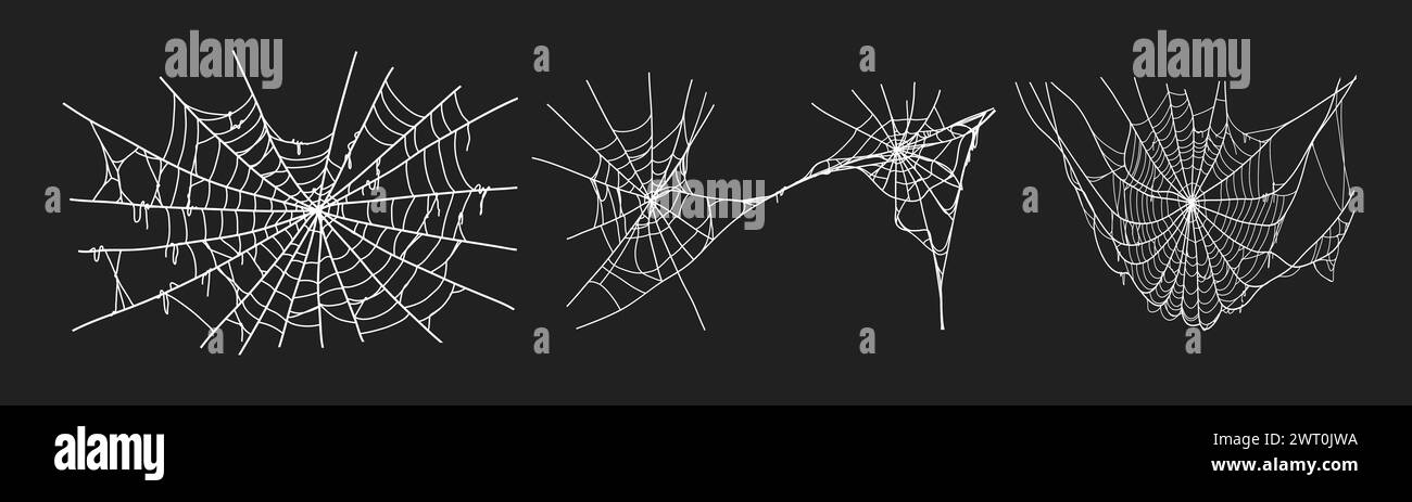 Spooky halloween old spider web with various sizes and shapes. Old ...