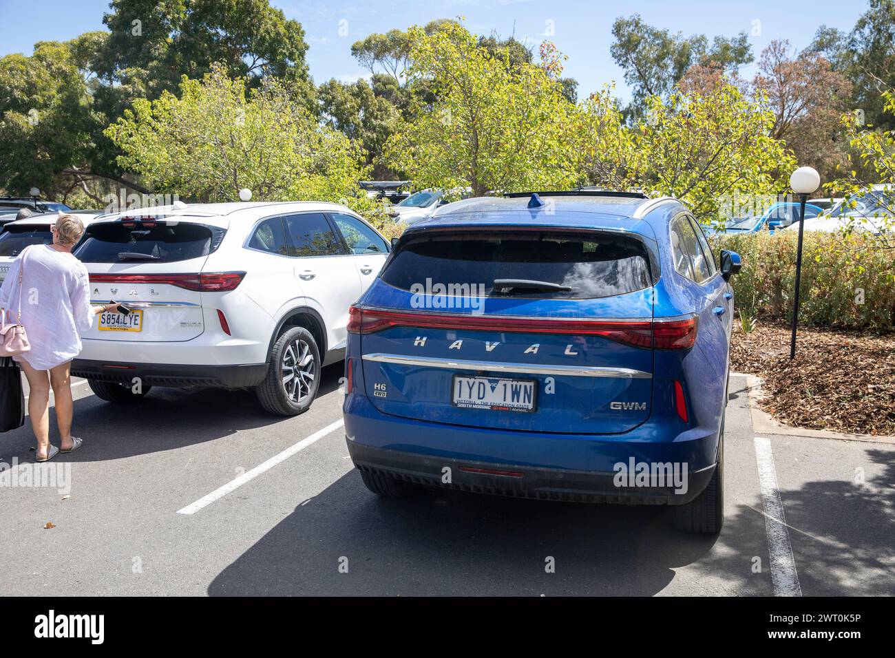 GWM Chinese Haval H6 SUV cars parked side by side in Barossa Valley ...
