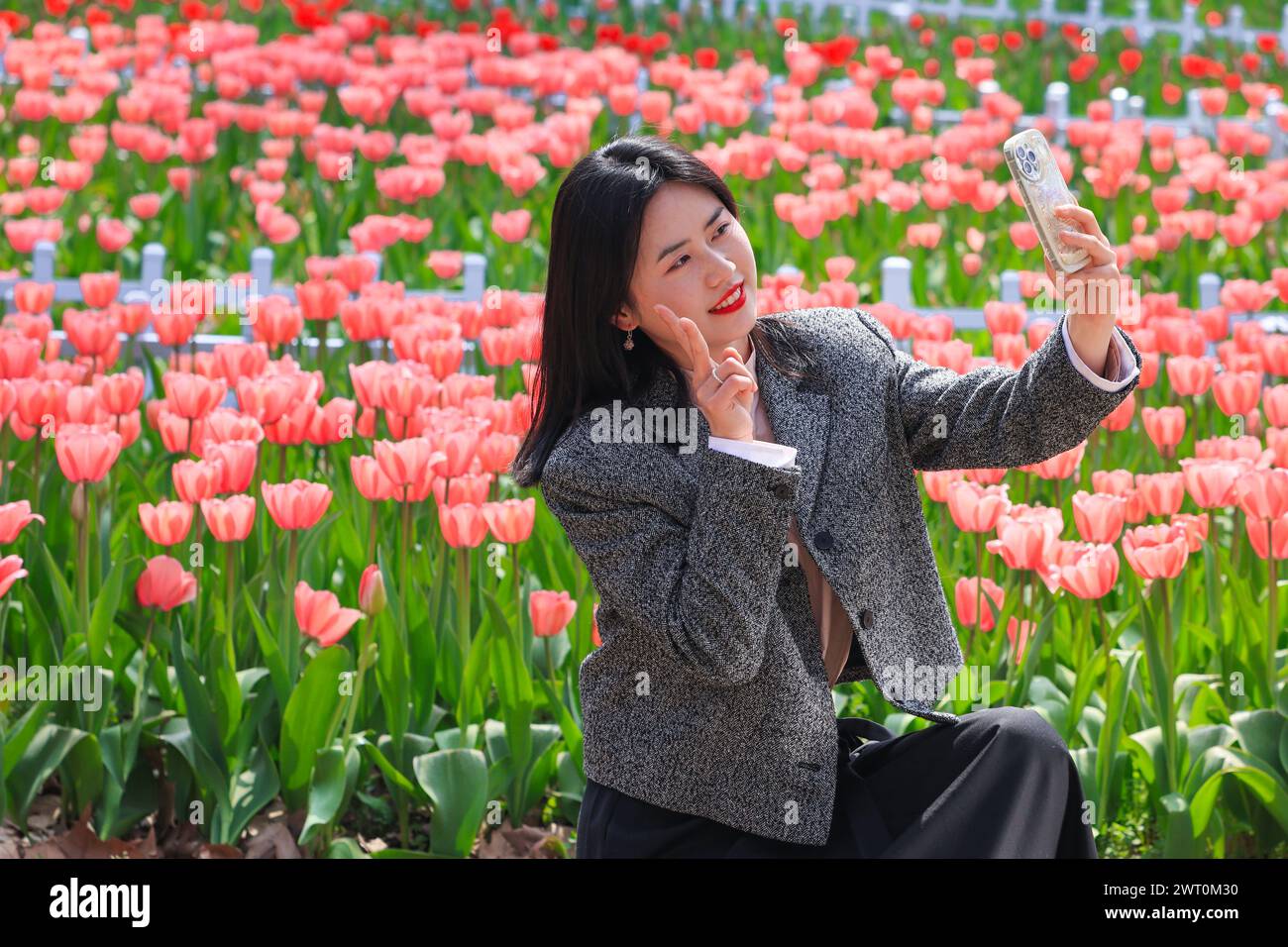 NANJING, CHINA - MARCH 15, 2024 - Visitors take photos of blooming ...