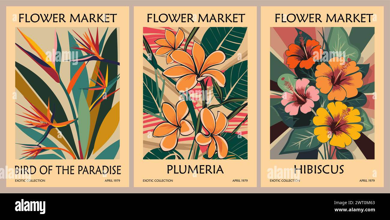 Set of abstract Flower Market Protea posters Stock Vector Image & Art ...