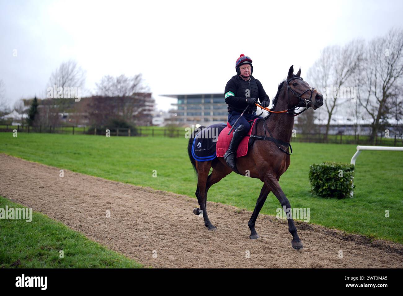 The Real Whacker on the gallops on day four of the 2024 Cheltenham ...