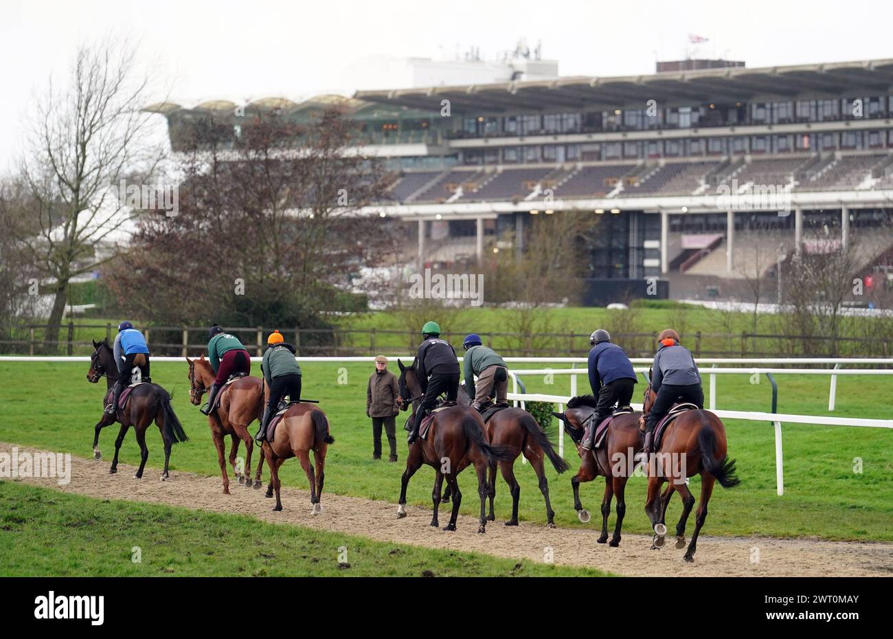 Willie Mullins trained horses on the gallops on day four of the 2024 ...