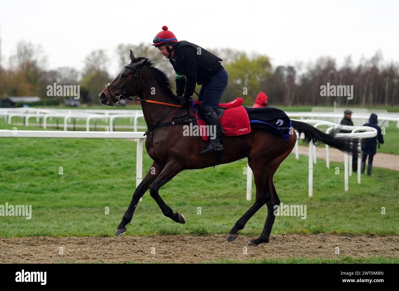 The Real Whacker on the gallops on day four of the 2024 Cheltenham ...