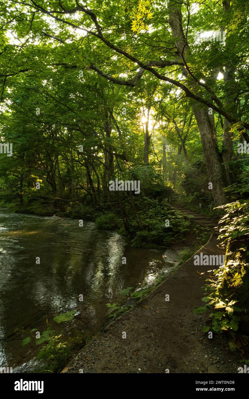 Mountain creek cascading through hi-res stock photography and images ...