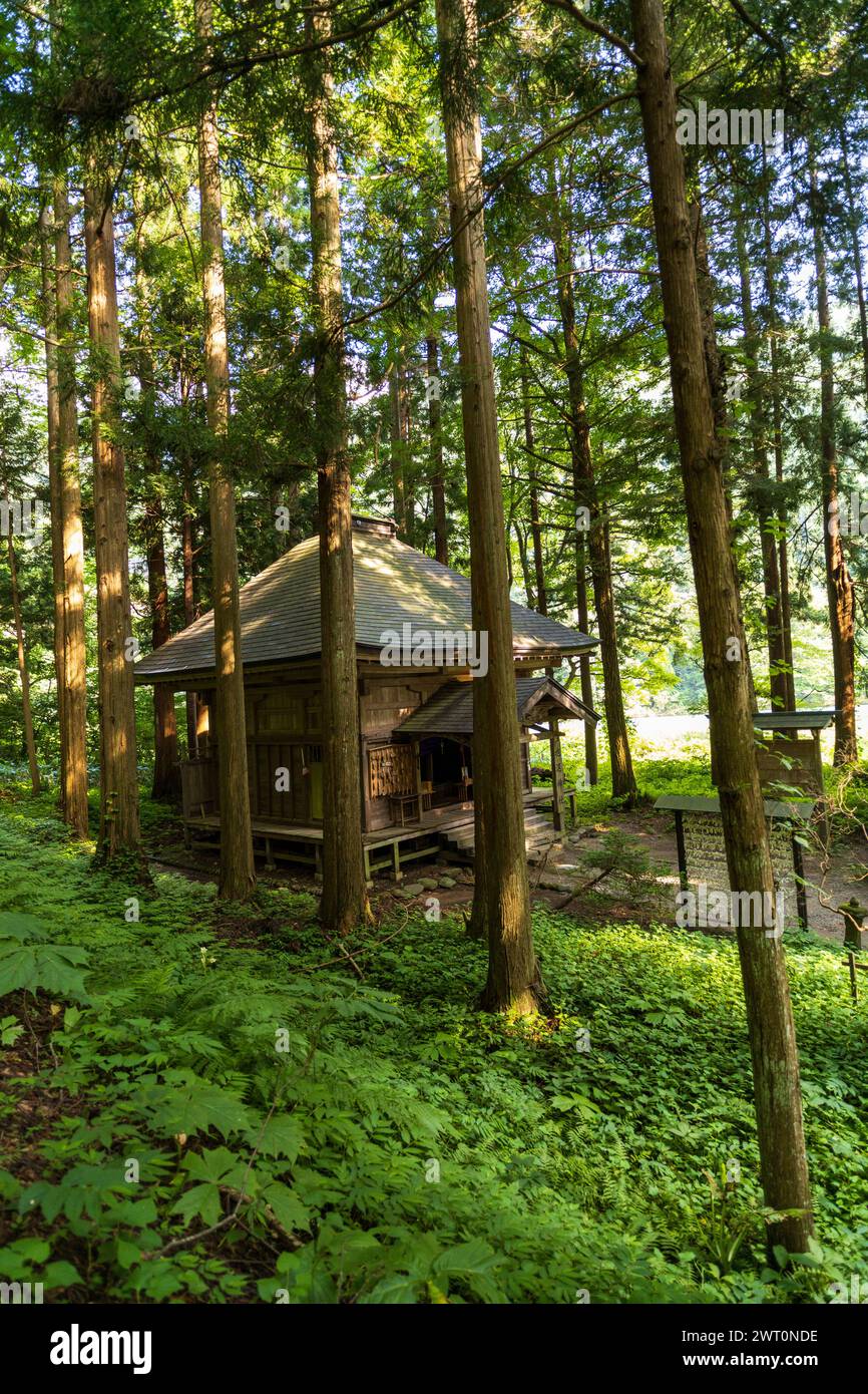 Traditional Japanese Forest Cabin Surrounded by Lush Greenery Stock ...