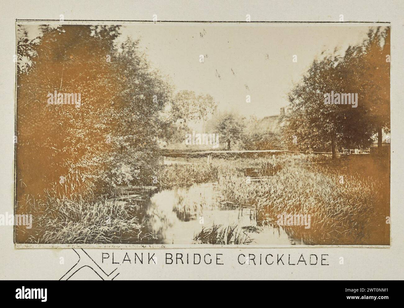 Tall grasses surround hi-res stock photography and images - Alamy