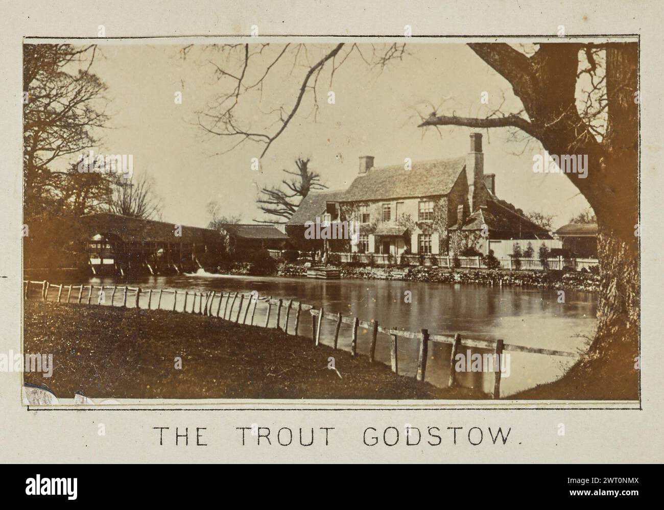 The Trout Godstow. Henry W. Taunt, photographer (British, 1842 - 1922 ...