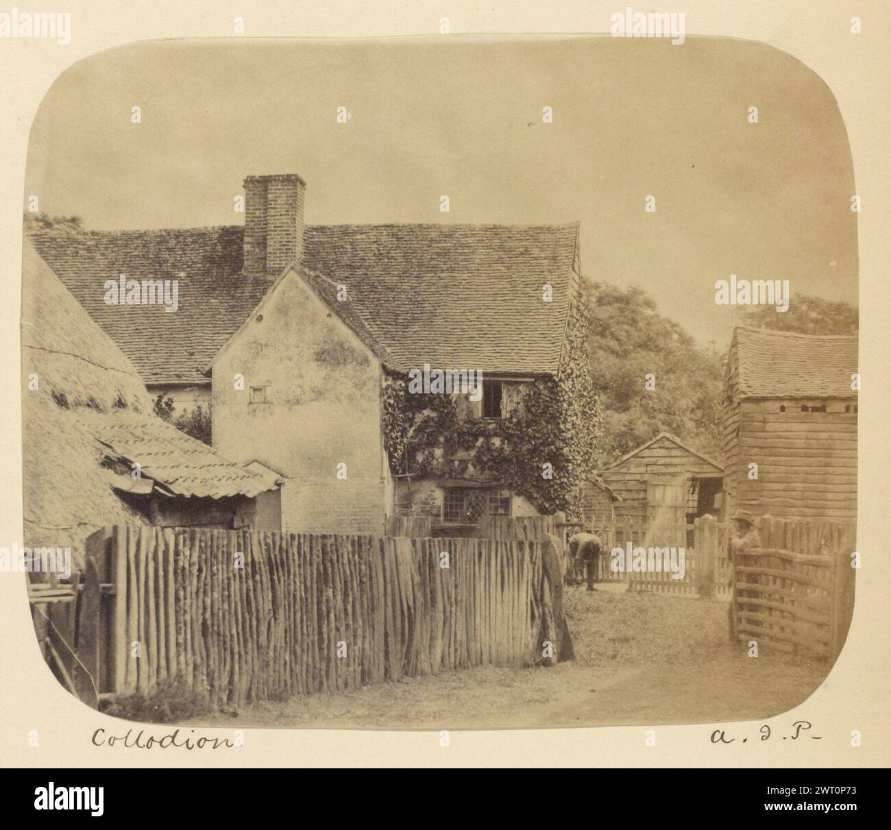 A Farm Yard. Arthur Julius Pollock, photographer (British, 1835 - 1890 ...