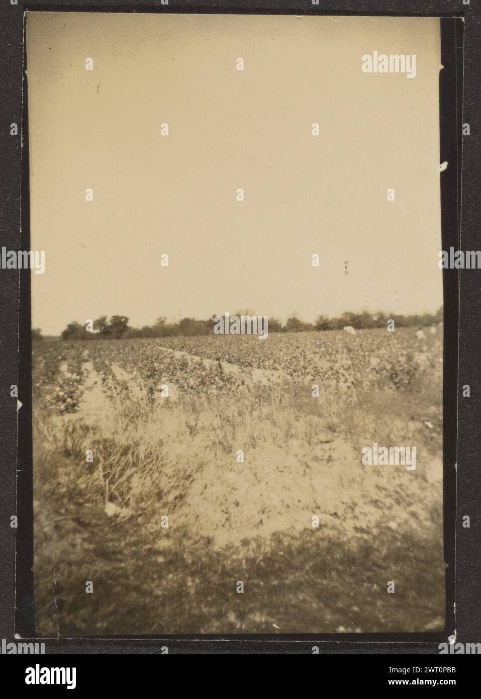 Landscape. Louis Fleckenstein, photographer (American, 1866 - 1943 ...