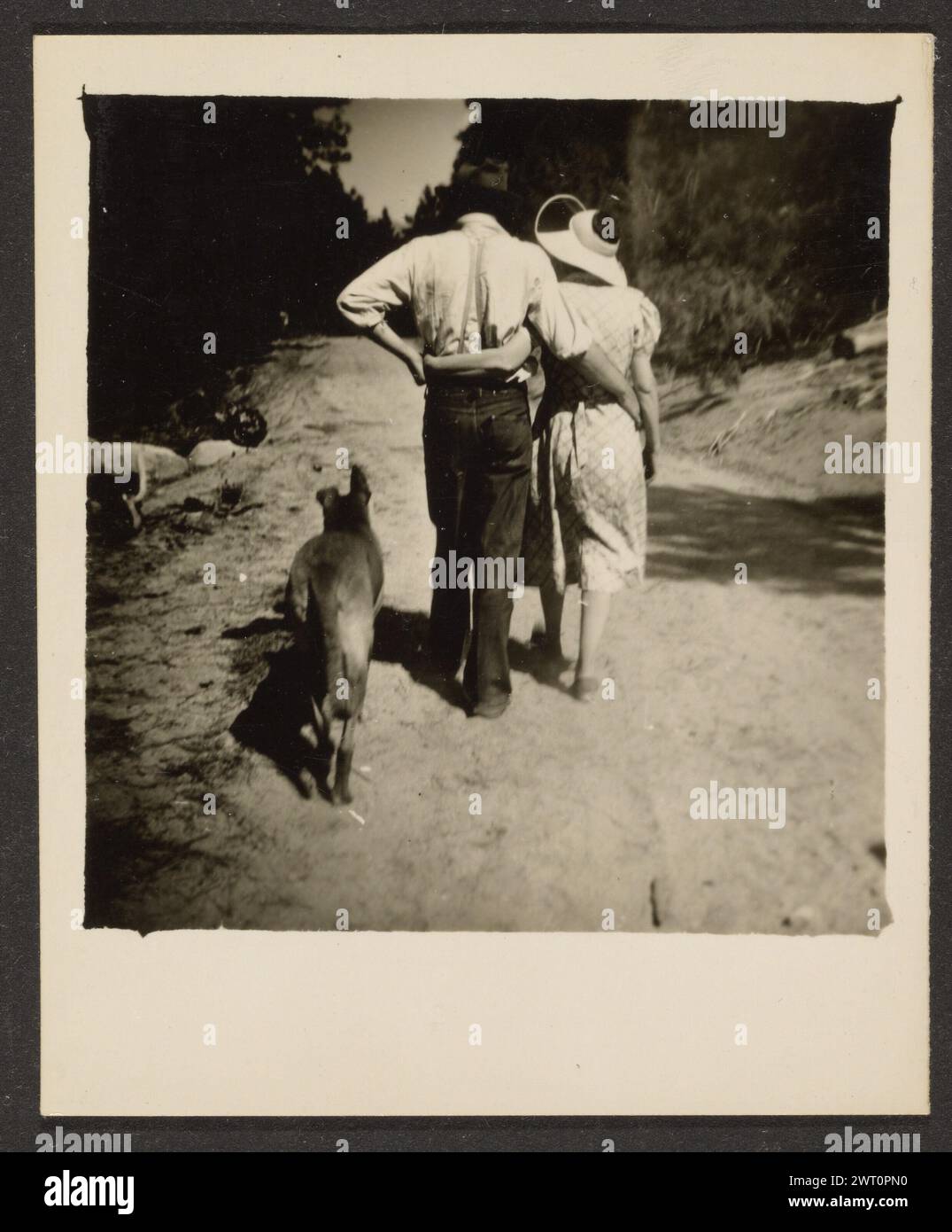Couple Walking with Dog. Louis Fleckenstein, photographer (American ...