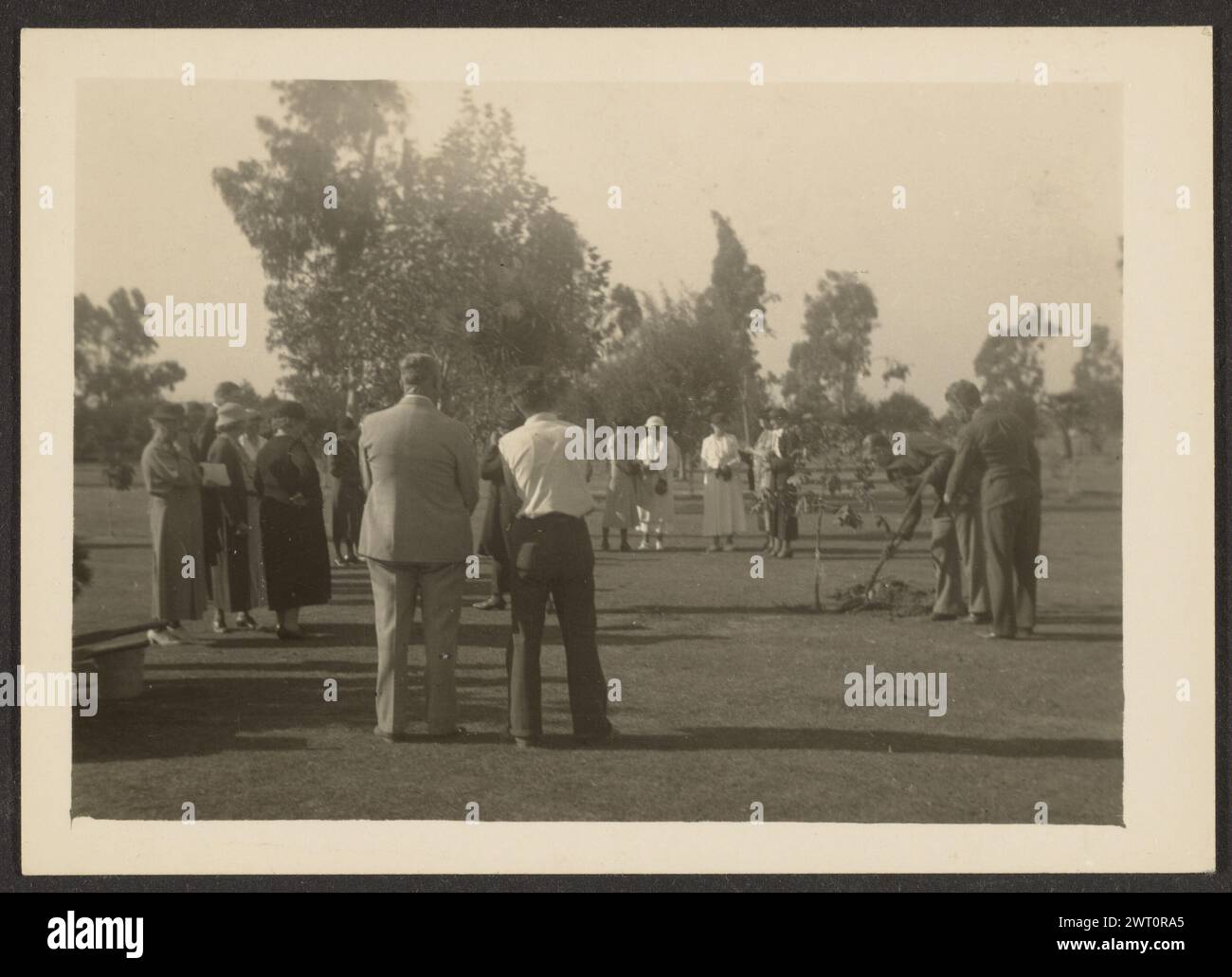 People in a Park Watching Tree Planting. Louis Fleckenstein ...