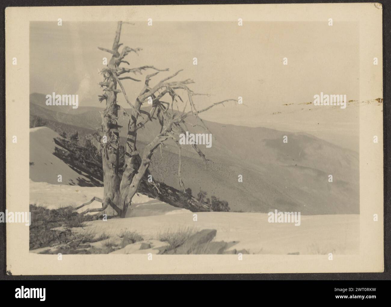 Landscape. Louis Fleckenstein, photographer (American, 1866 - 1943 ...