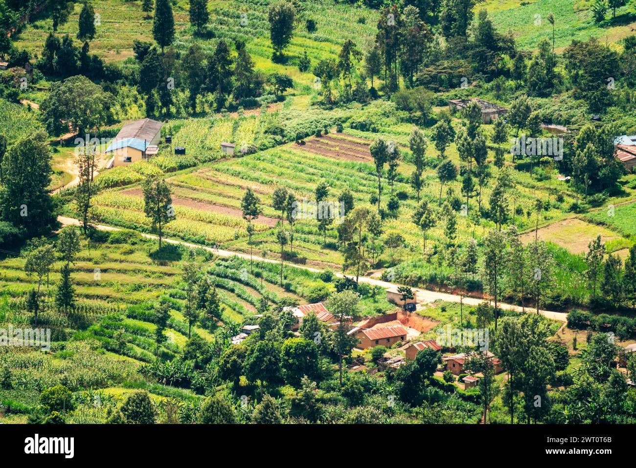 Farming community near Wundanyi in south Kenya Stock Photo - Alamy