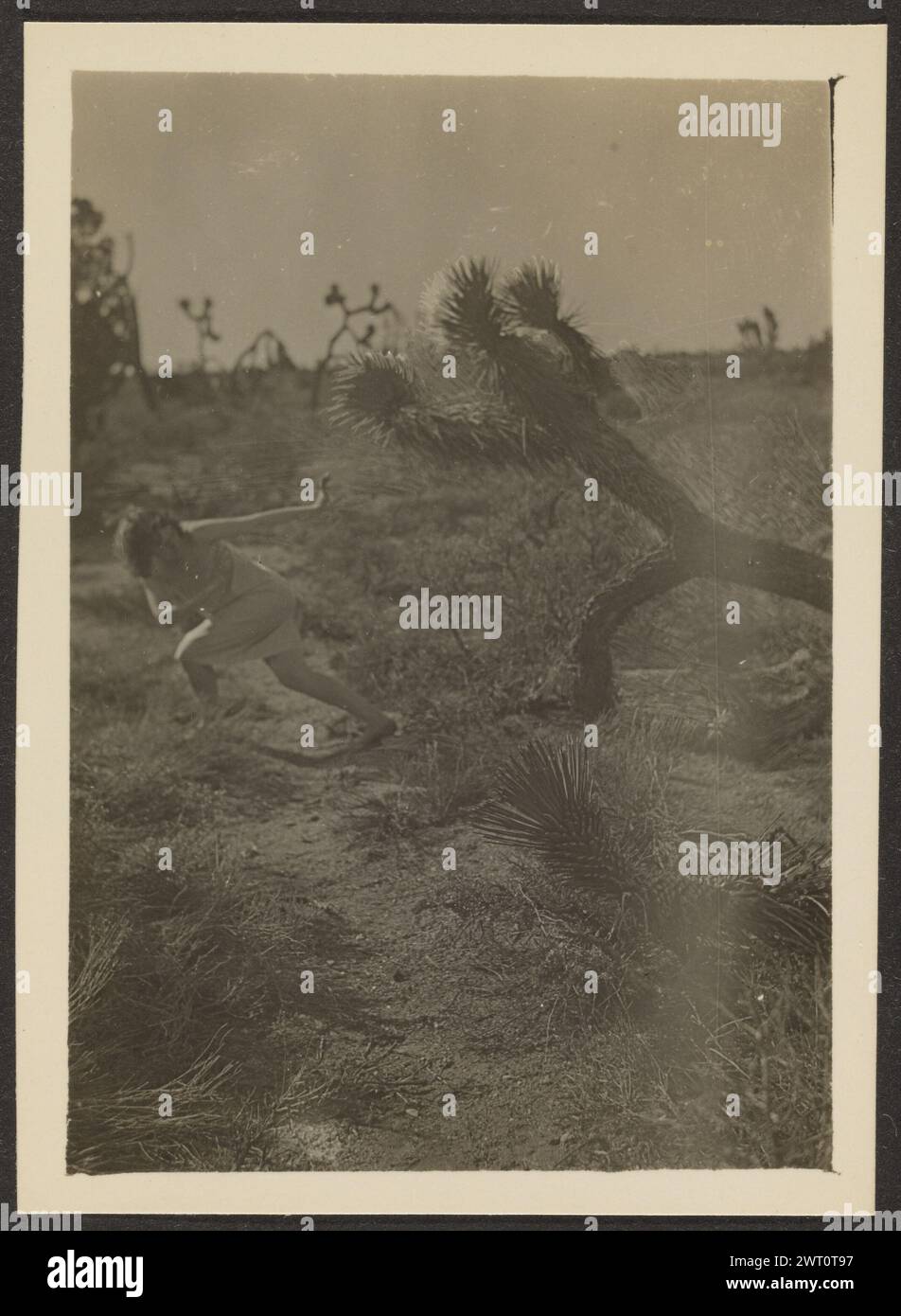 Bogey Man of the Desert. Louis Fleckenstein, photographer (American ...