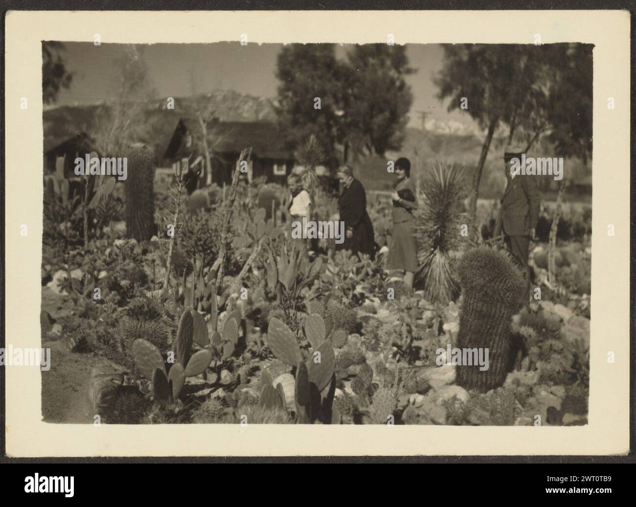 Fleckenstein Family in Cactus Garden. Louis Fleckenstein, photographer ...