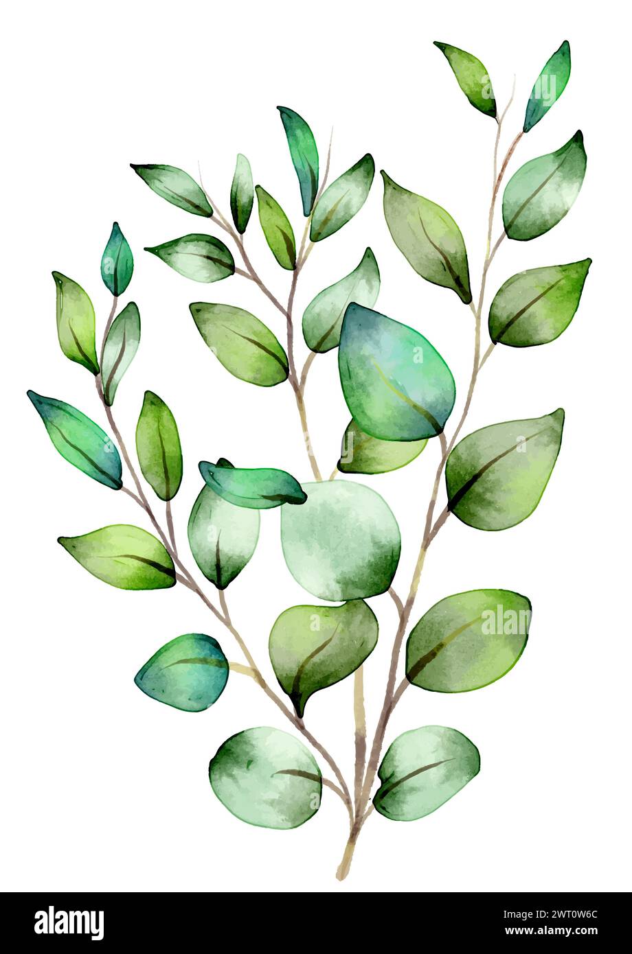 Decorative hand painted watercolour leaves design Stock Vector Image ...