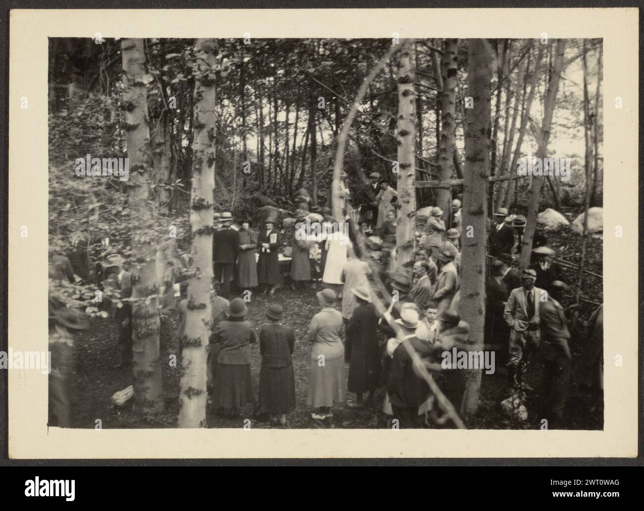 Group in the Woods. Louis Fleckenstein, photographer (American, 1866 ...