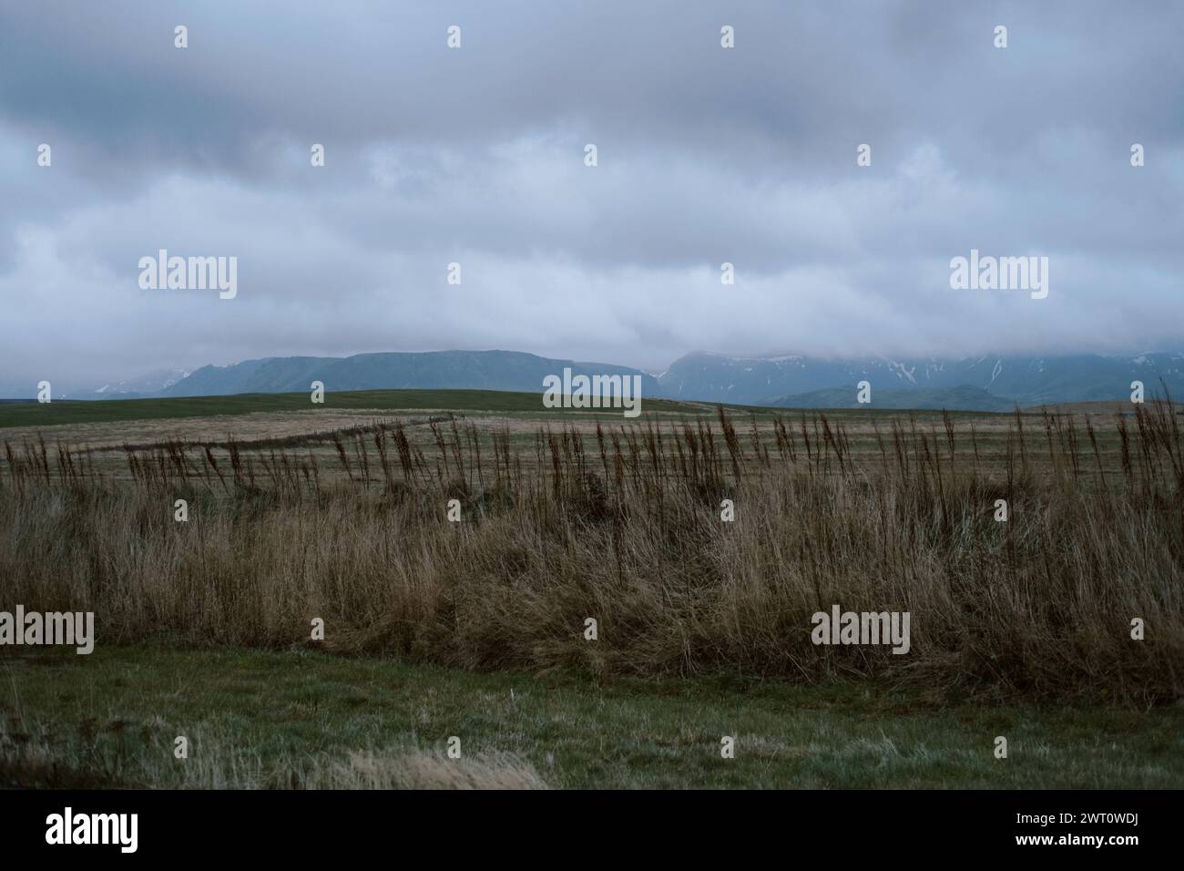 Cloudy sky grassy farmland in rural calm Icelandic nature countryside ...