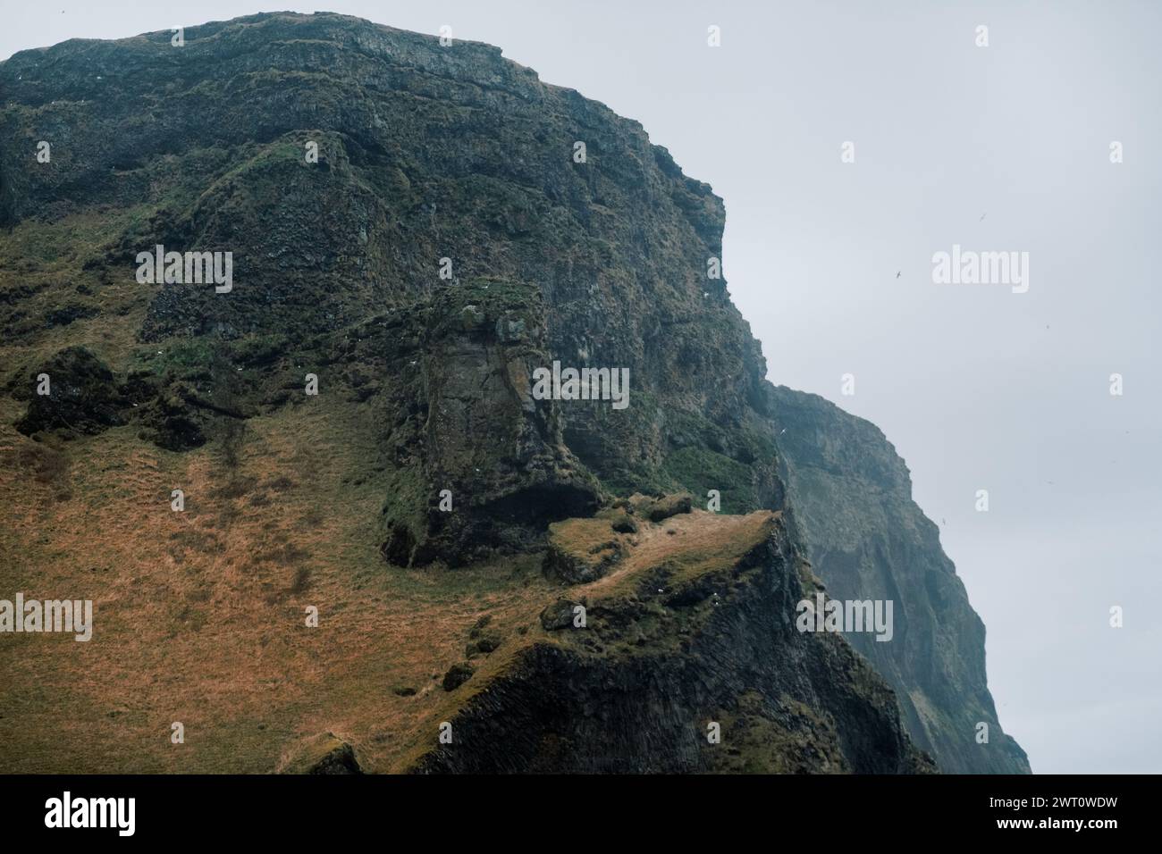 Nature background textured rocky cliff mountainside in Iceland Stock ...