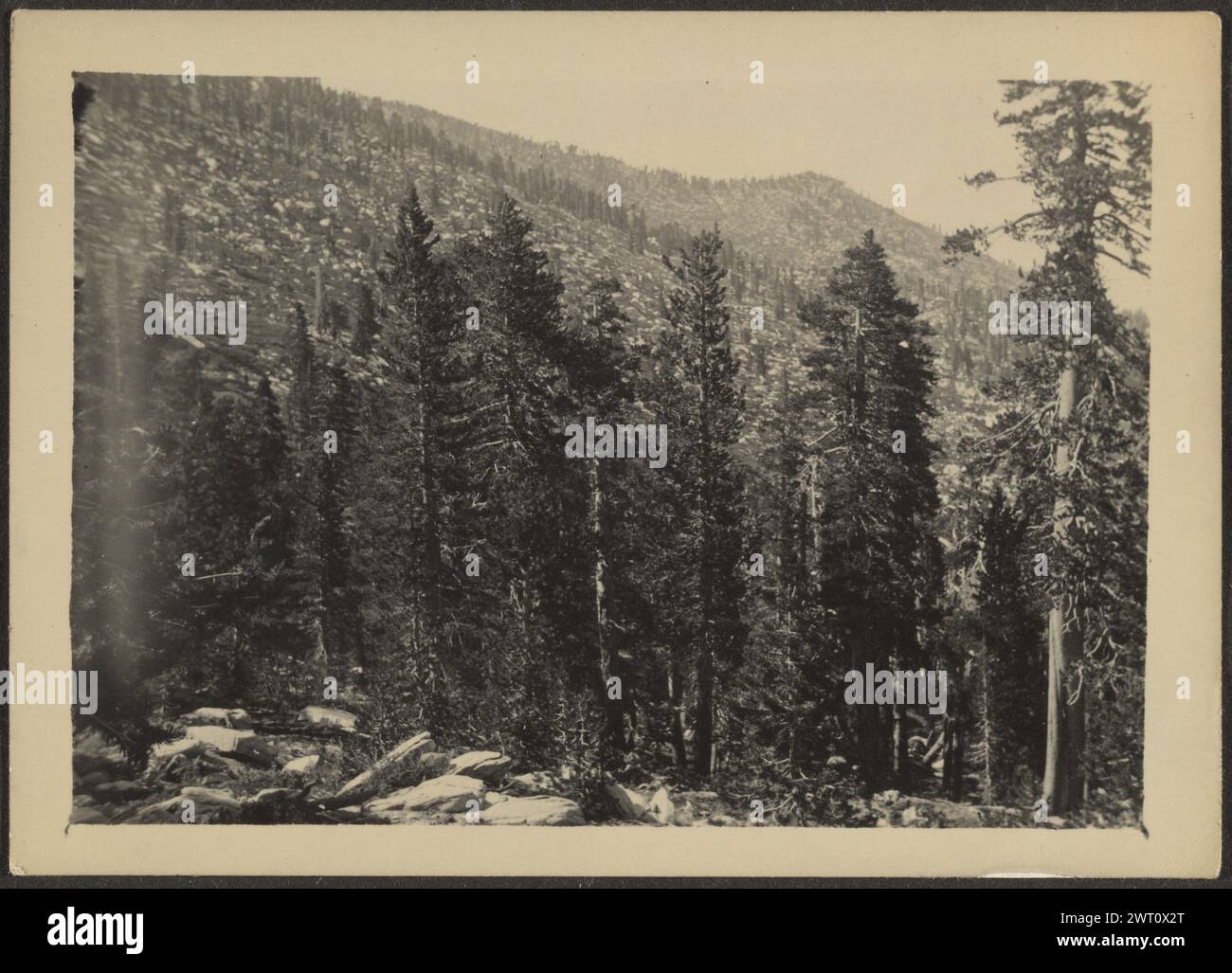 San Jacinto Peak. Louis Fleckenstein, photographer (American, 1866 ...